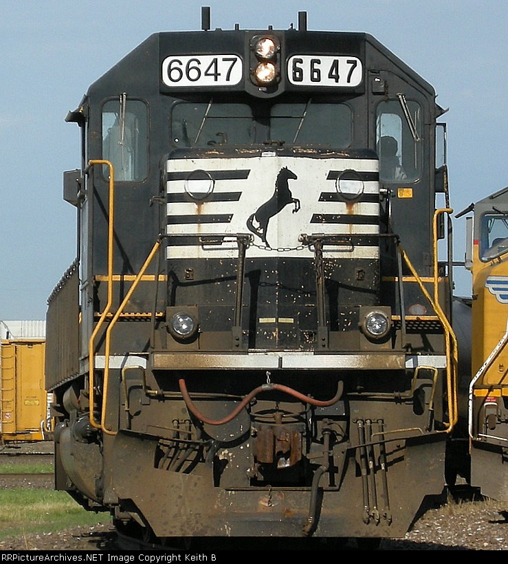 NS 6647